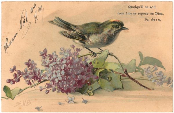 Free Bird Cards Ephemera Downloads